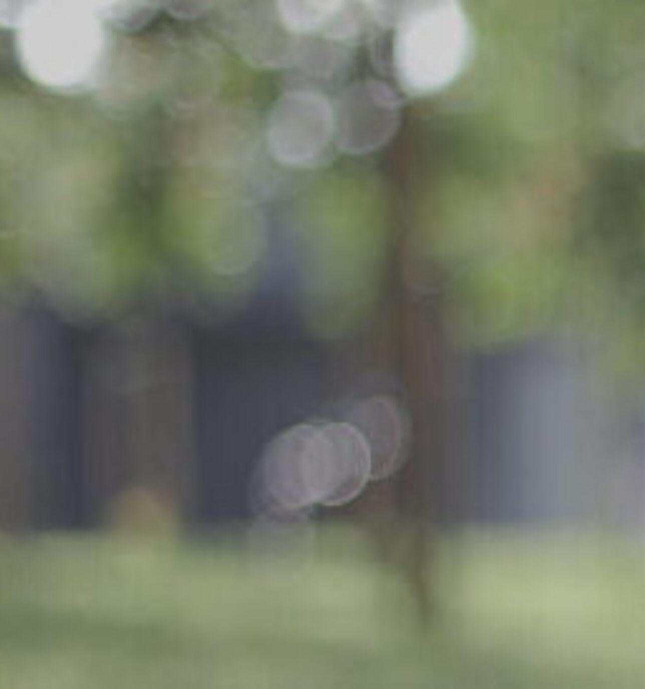 Banking - Direct - Maduro & Curiel’s Bank Bonaire