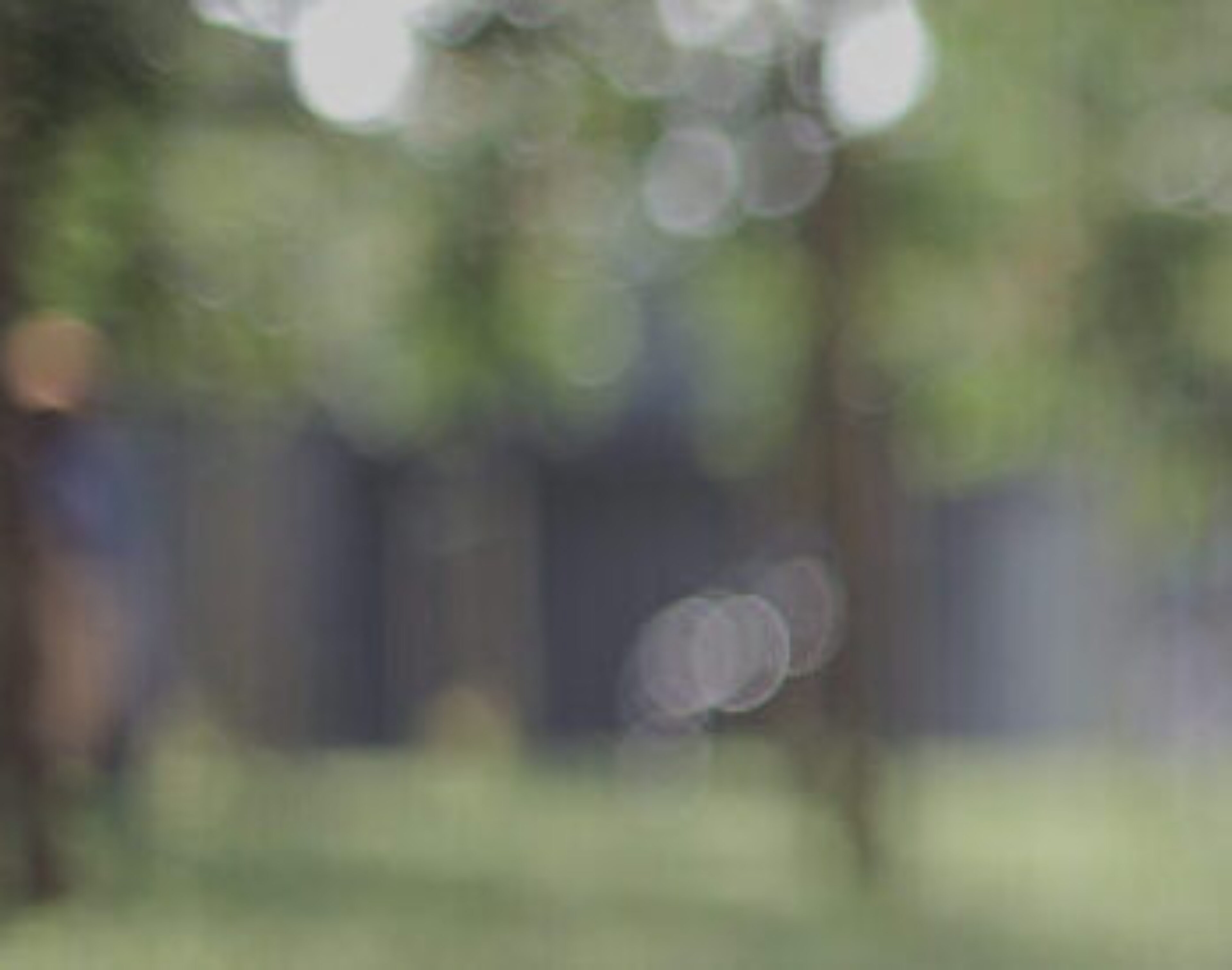 WIB Take One Flyers - The Windward Islands Bank